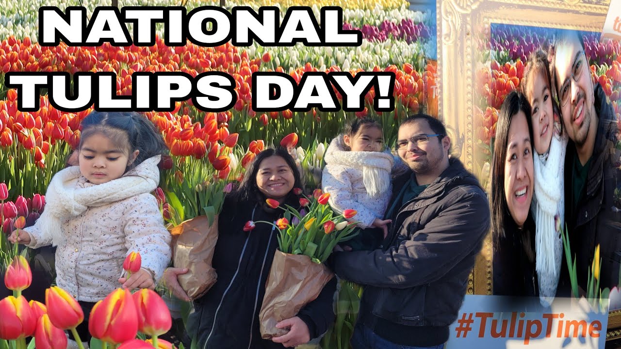 LIBRENG TULIPS PARA SA LAHAT! NATIONAL TULIP DAY!|SHARE HAPPINESS ...