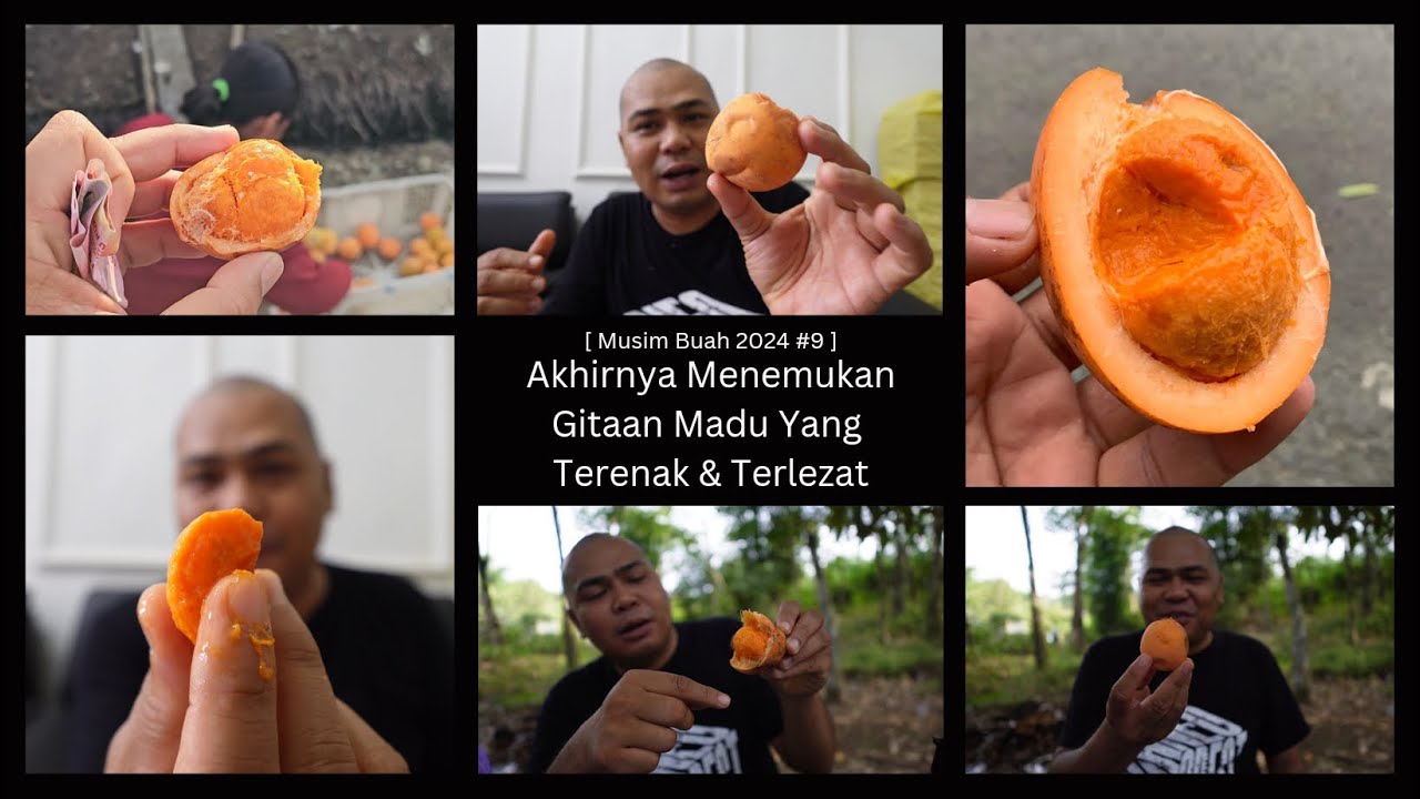 Akhirnya Menemukan Buah Langka Gitaan Madu Paling Enak… Renyah ...