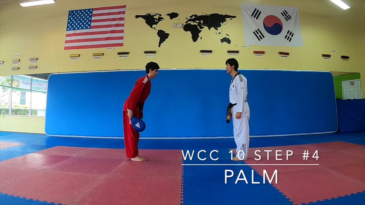 World Champion Center Tiny Champion WCC 10 Step #4 - YouTube