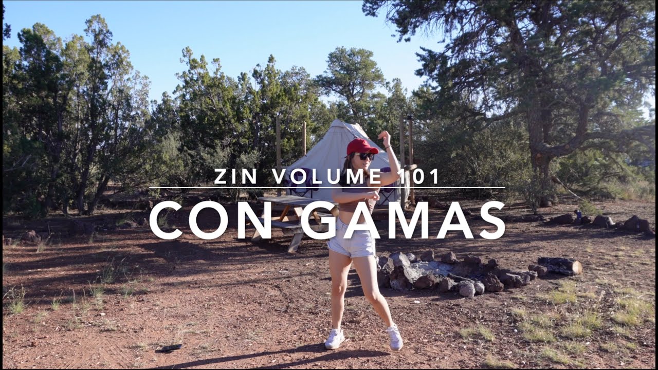 Con Ganas | zin volume 101 | ZUMBA® - YouTube