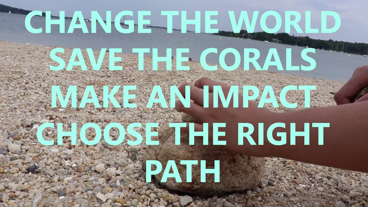 2019 Ocean Awareness Contest (Film) - The Right Path - YouTube