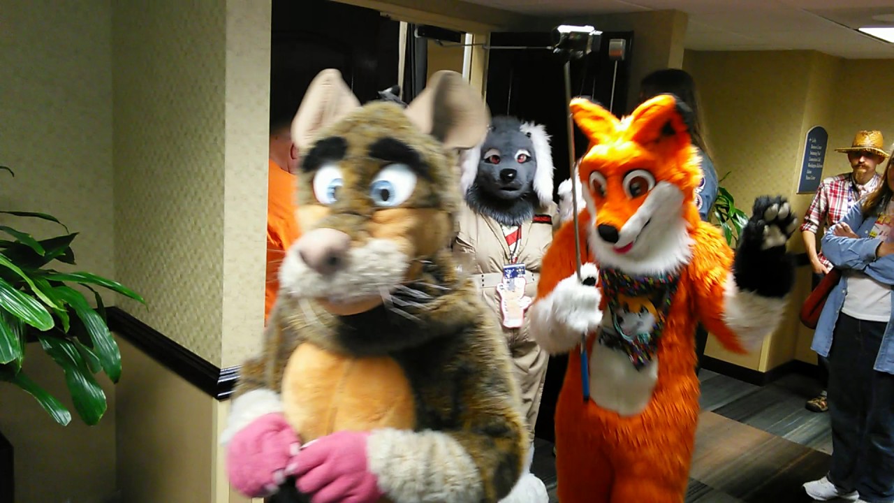 Anthrohio 2017 Fursuit Parade - YouTube