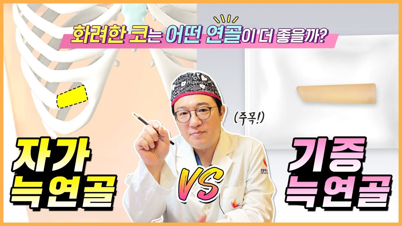★자가늑연골 Vs 기증늑연골★ 과연 나에게 맞는 연골은 코 높이별 연골 선택부터 안전 유무까지 늑연골 논란 완전 종결 Youtube