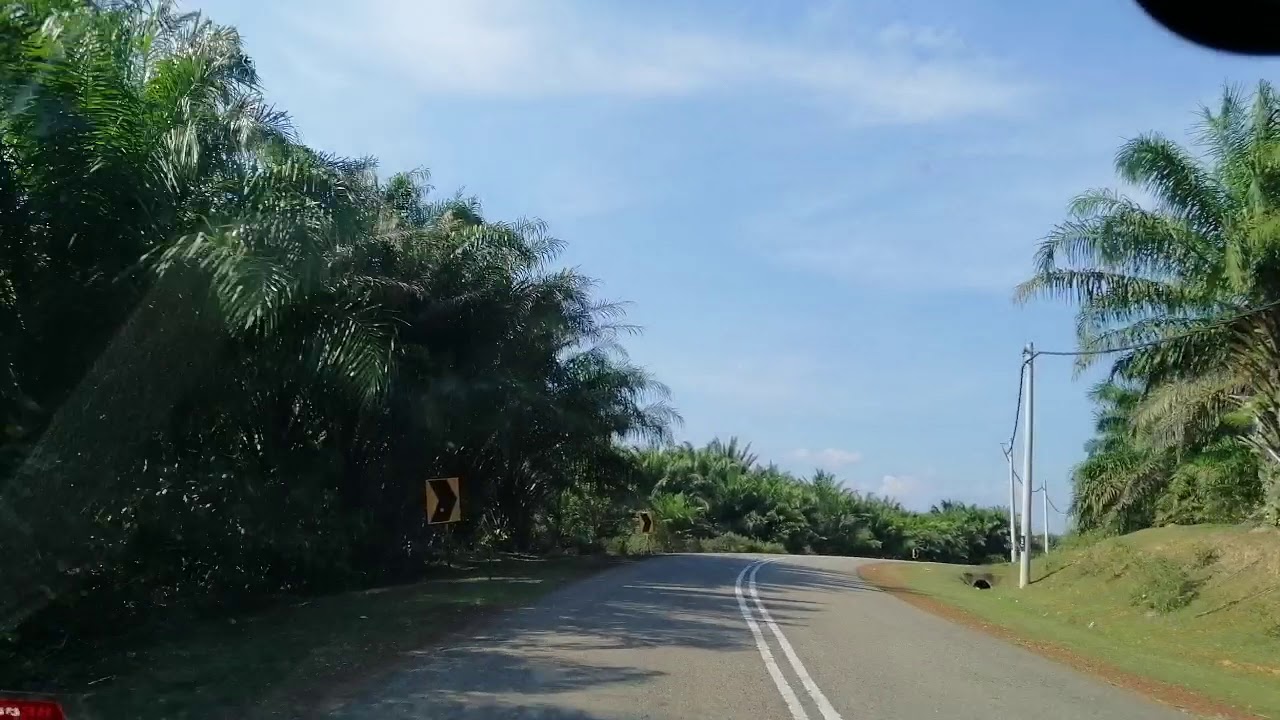Road Bera ke Simpang Felda Rentam - YouTube