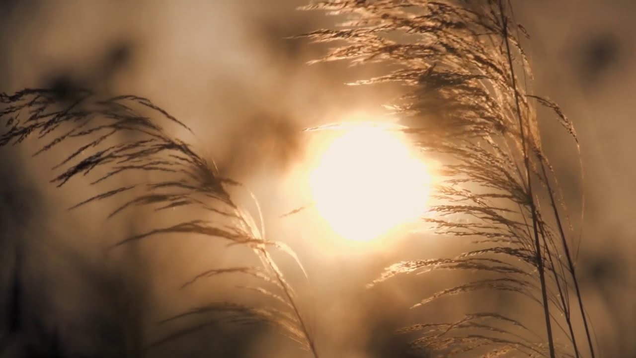 Saltney Harvest Thanksgiving - Rev'd Neil Stacey - YouTube