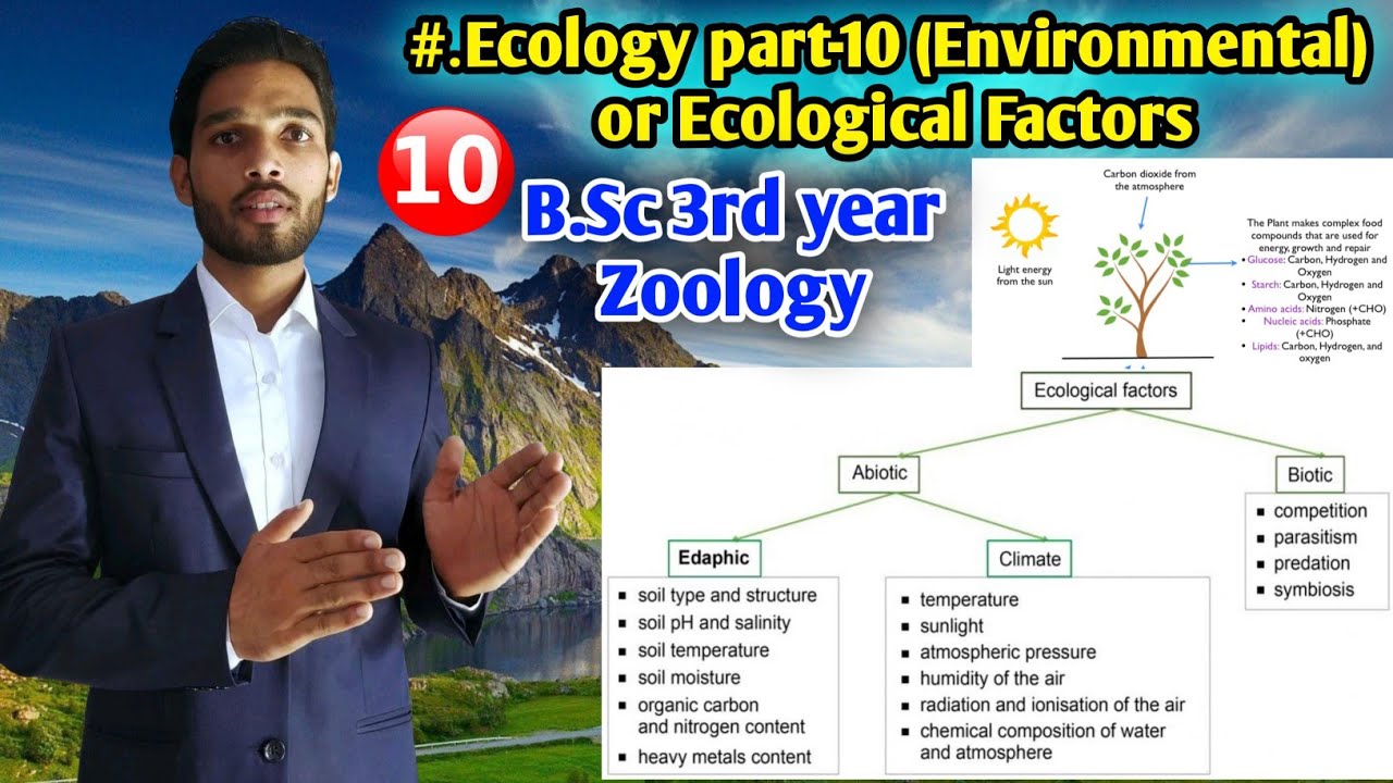 Ecological Factors || Environmental Factors ||Biotic and Abiotic ...