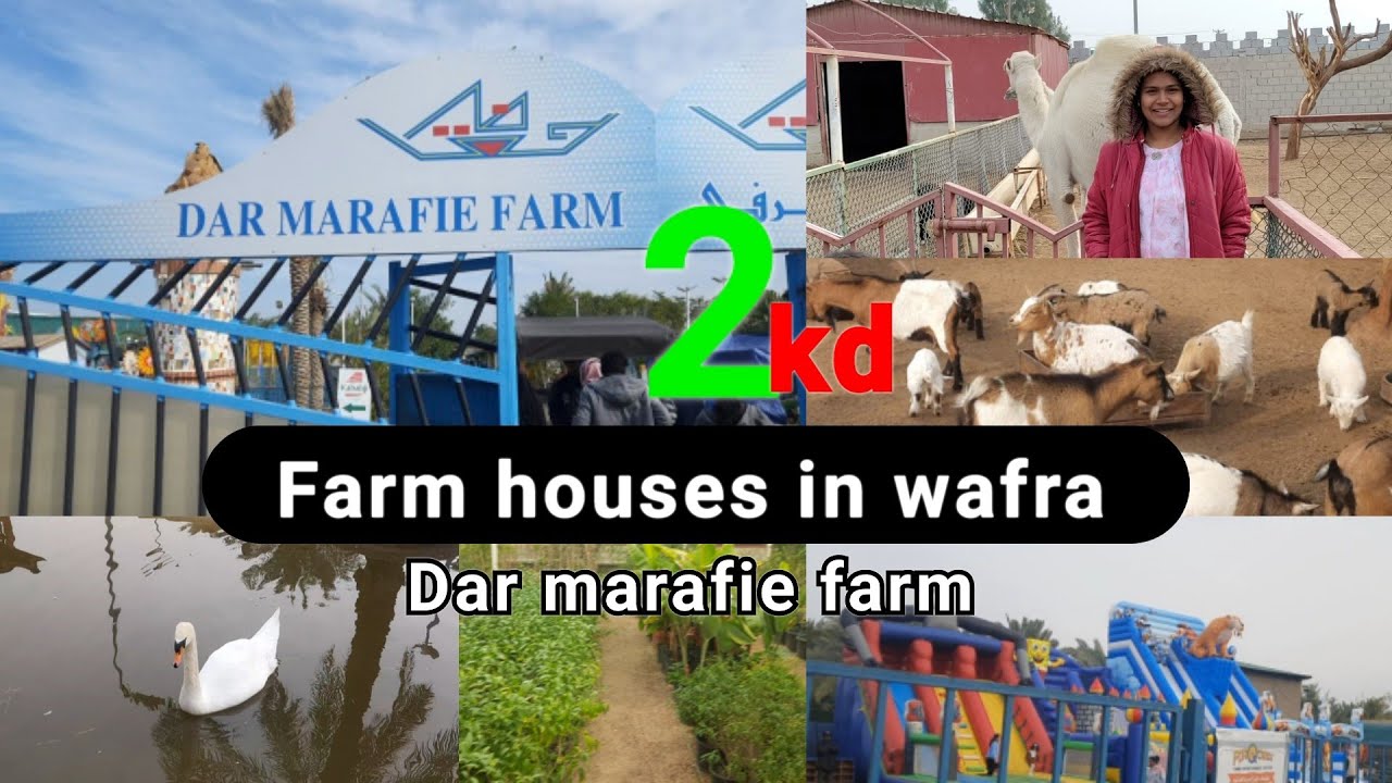 Kuwait wafra farm house|Dar marafie farm|Saudi Arabia border in kuwait ...