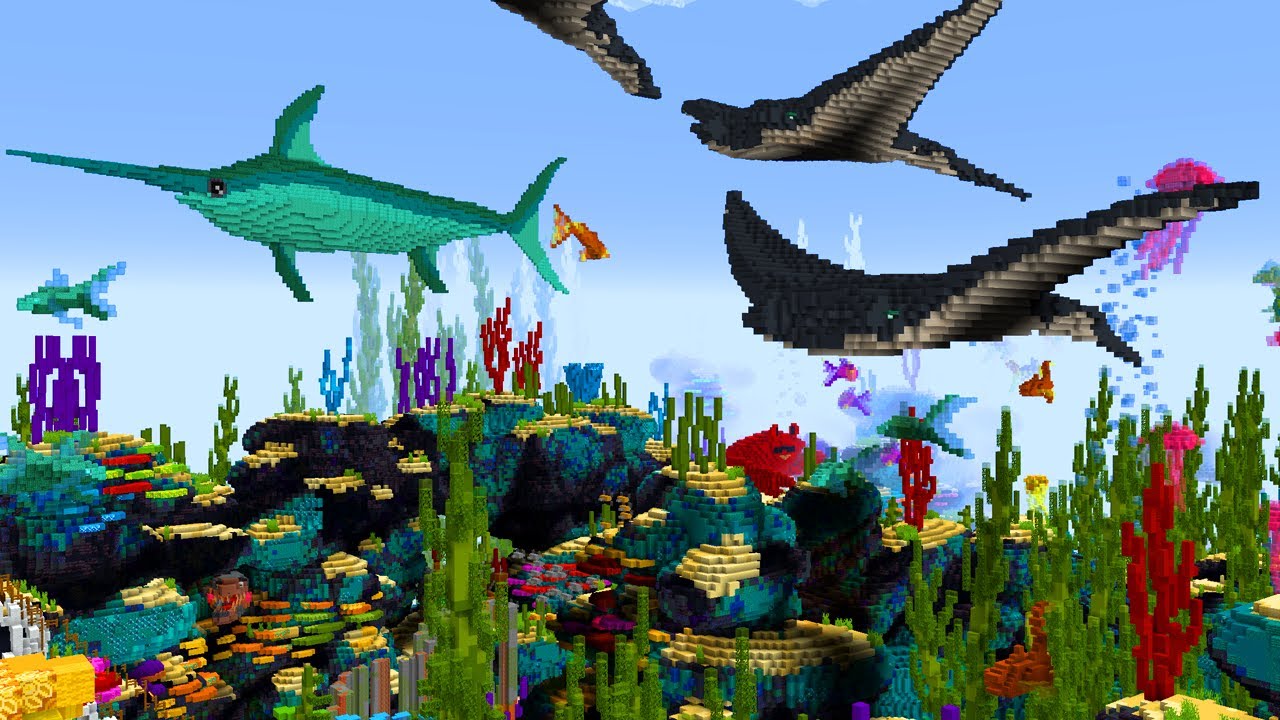 Minecraft: Coral Reef Race - YouTube