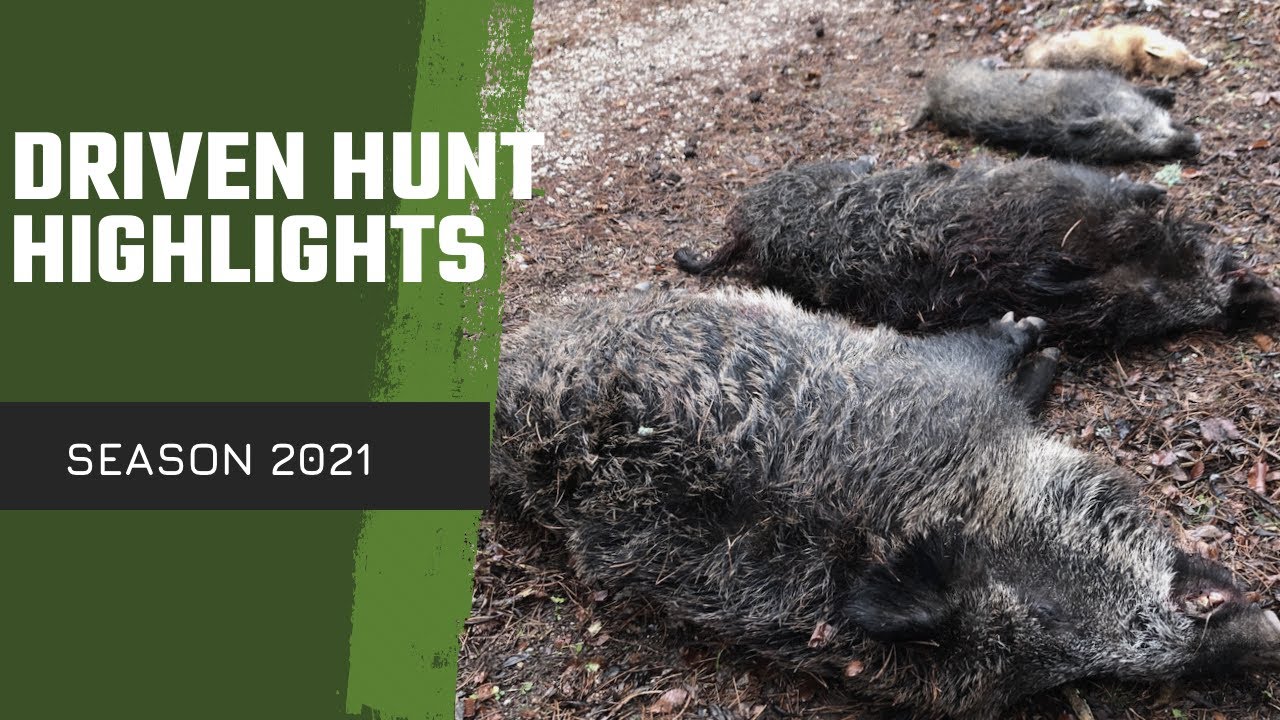 Driven hunt highlights - season 2021 #6 - YouTube