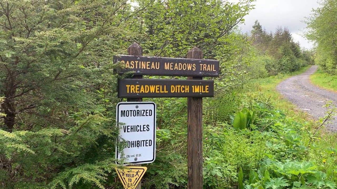 Muskeg, Skunk Cabbage, Gastineau meadows, Juneau (Douglas) Alaska - YouTube