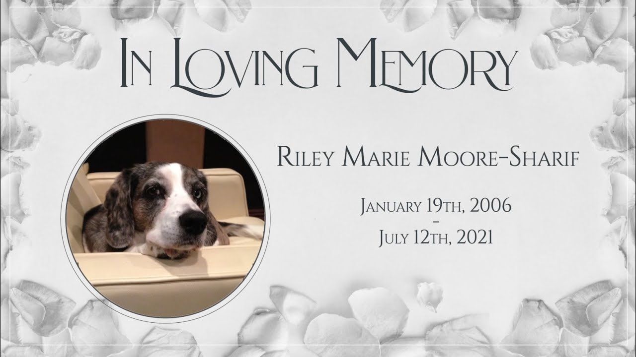 Riley In Loving Memory - YouTube