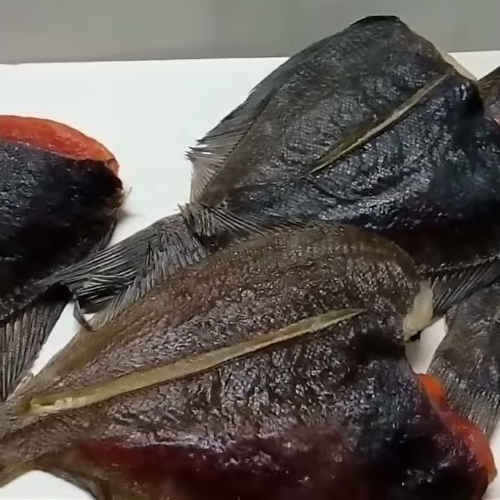 Икра Красная в Томске и Северске! КАМБАЛА ВЯЛЕНАЯ С ИКРОЙ! КАМЧАТКА ...