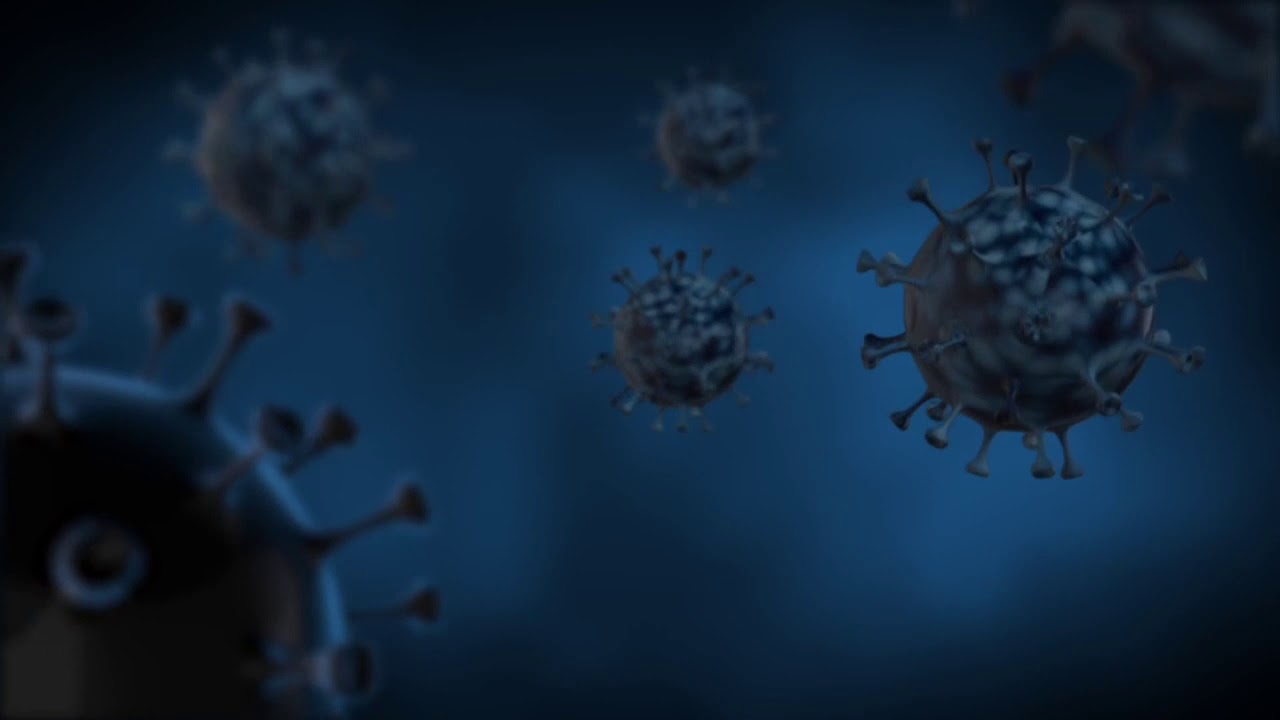 Motion Background - Coronavirus Animation - No Copyright Video - YouTube