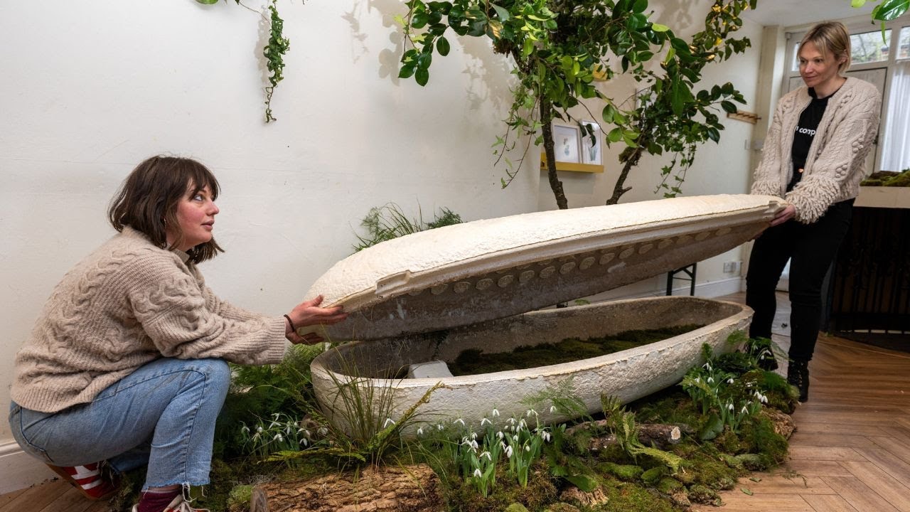 Funeral firm offering world's first 'living coffin' - made out of ...