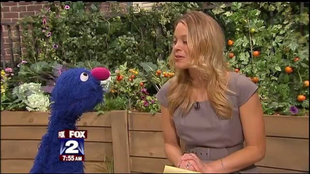 WJBK DT 2 1 2009 11 08 Jill Dobson - YouTube