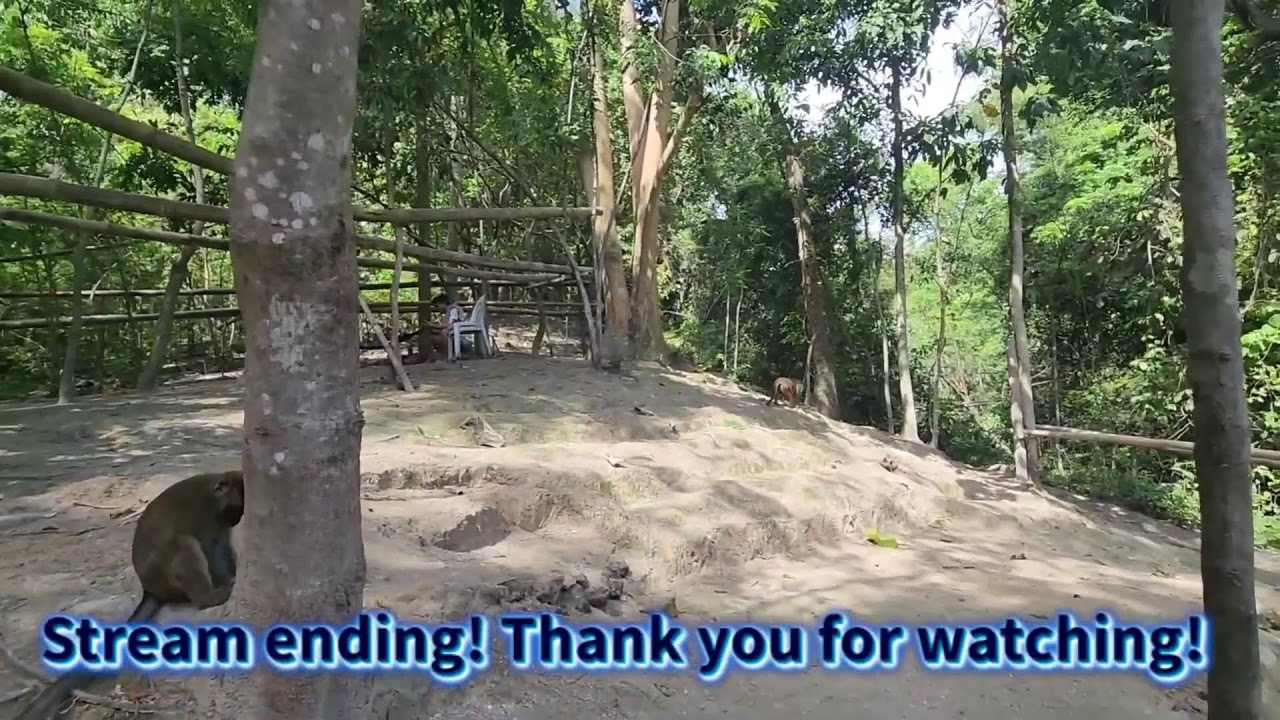 chillin n playing trash on Super mario maker 2...NO VIEWER LEVELS ...