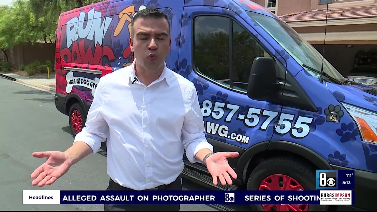 'Run Dawg' mobile gym allows pets to get their exercise and stay out of ...