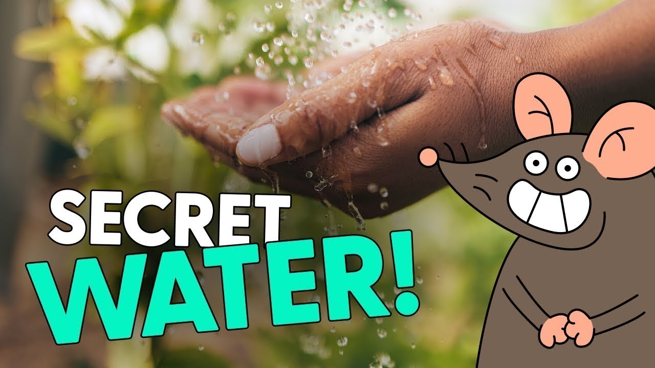 The Secret Life of Water! - YouTube