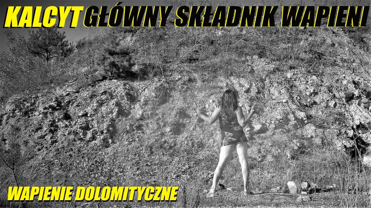 KALCYT Główny składnik wapieni WAPIENIE DOLOMITYCZNE (Październik 2022 ...