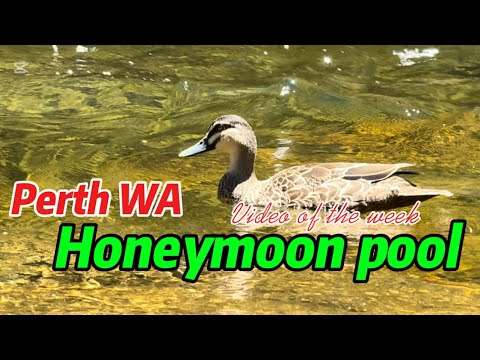 Honeymoon pool Perth WA - YouTube