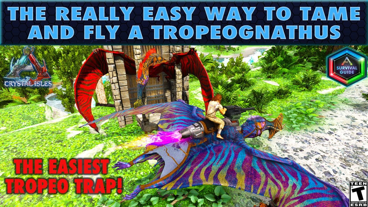 How to tame a tropeognathus ark