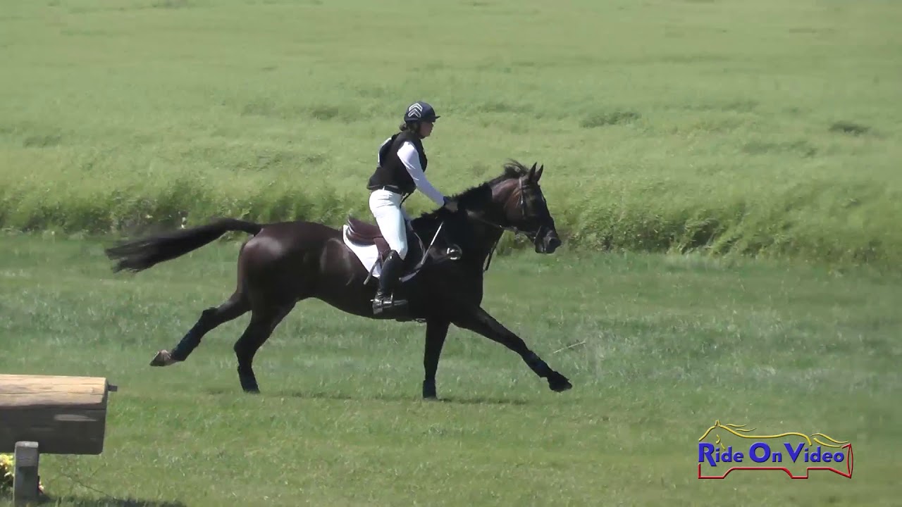 734XC Gigi Hogan on Samba Dromo NAJYRC CCI1* Cross Country Rebecca Farm ...