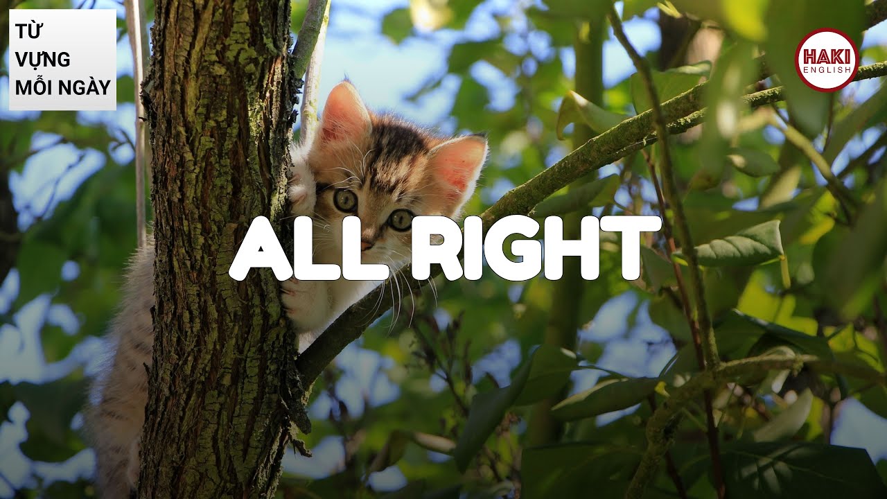 ALL RIGHT | Phát âm - Giải nghĩa - Ví dụ | Từ vựng tiếng Anh - YouTube