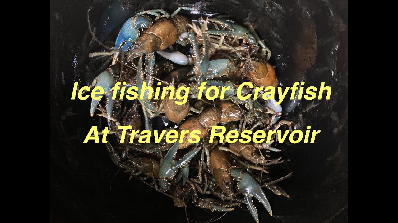 Ice Crayfishing At Travers Reservoir 2021 - YouTube