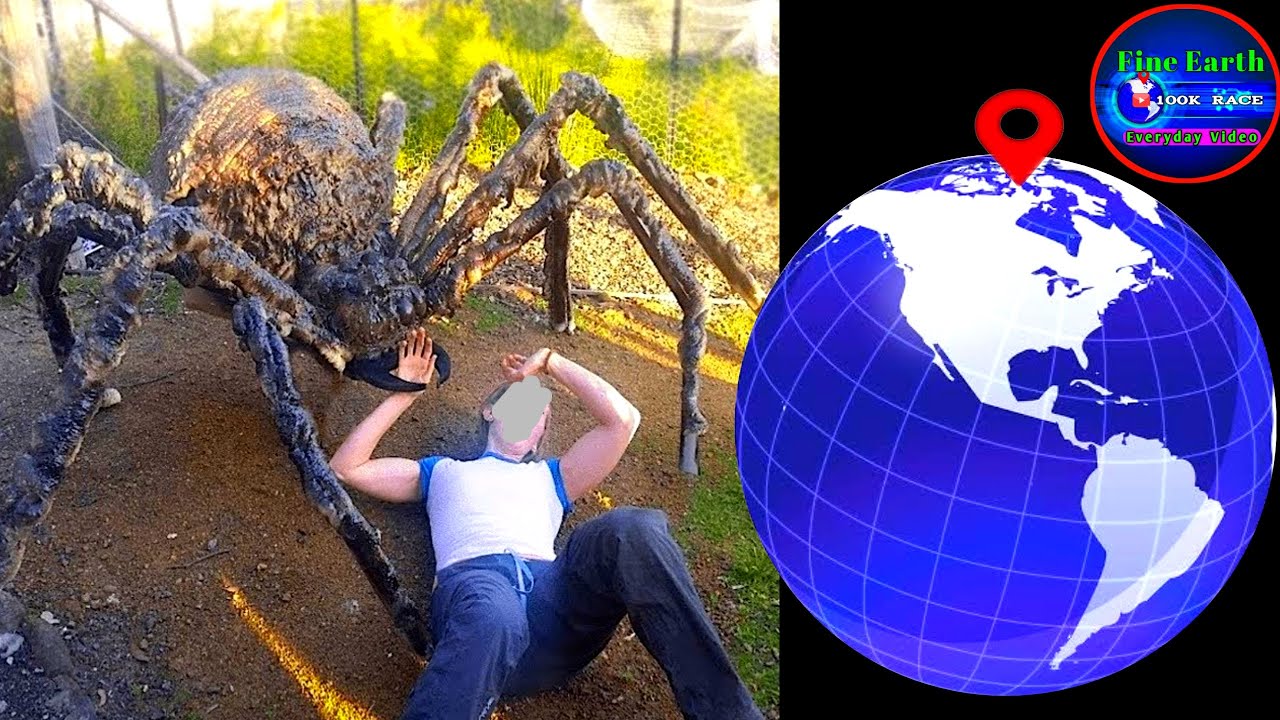 Giant Spider Attack found On Google Earth #fineearthexplore - YouTube