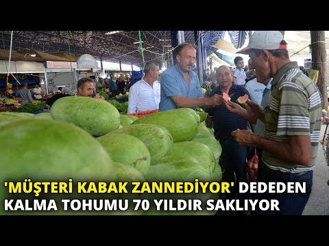 'Müşteri kabak zannediyor' Dededen kalma tohumu 70 yıldır saklıyor