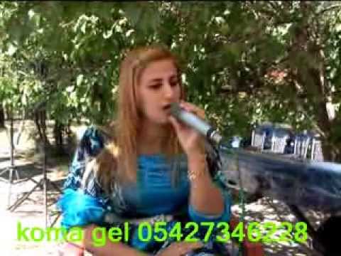 Koma Gel 2014 te es helandım(ahmet akdemir)