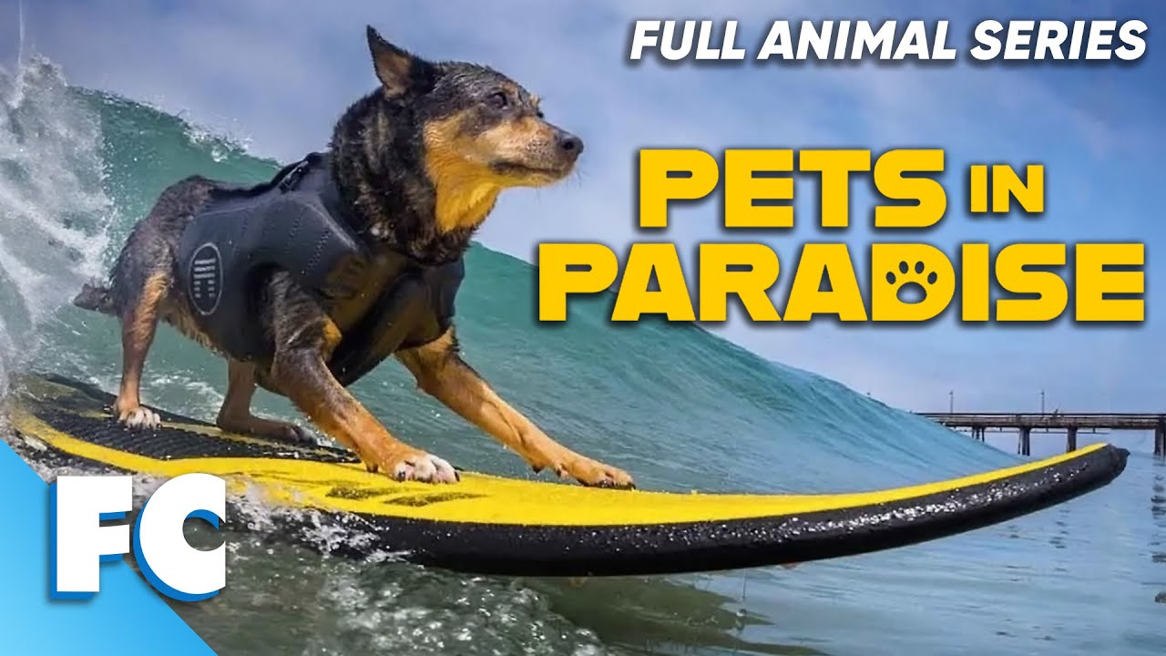 Pets In Paradise (11/26) | Season 1 Episode 11: World's Record Holder ...