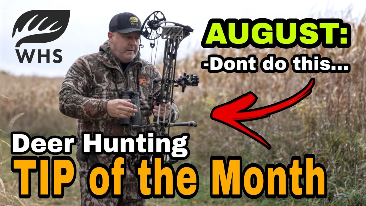August Deer Hunting Tip - YouTube