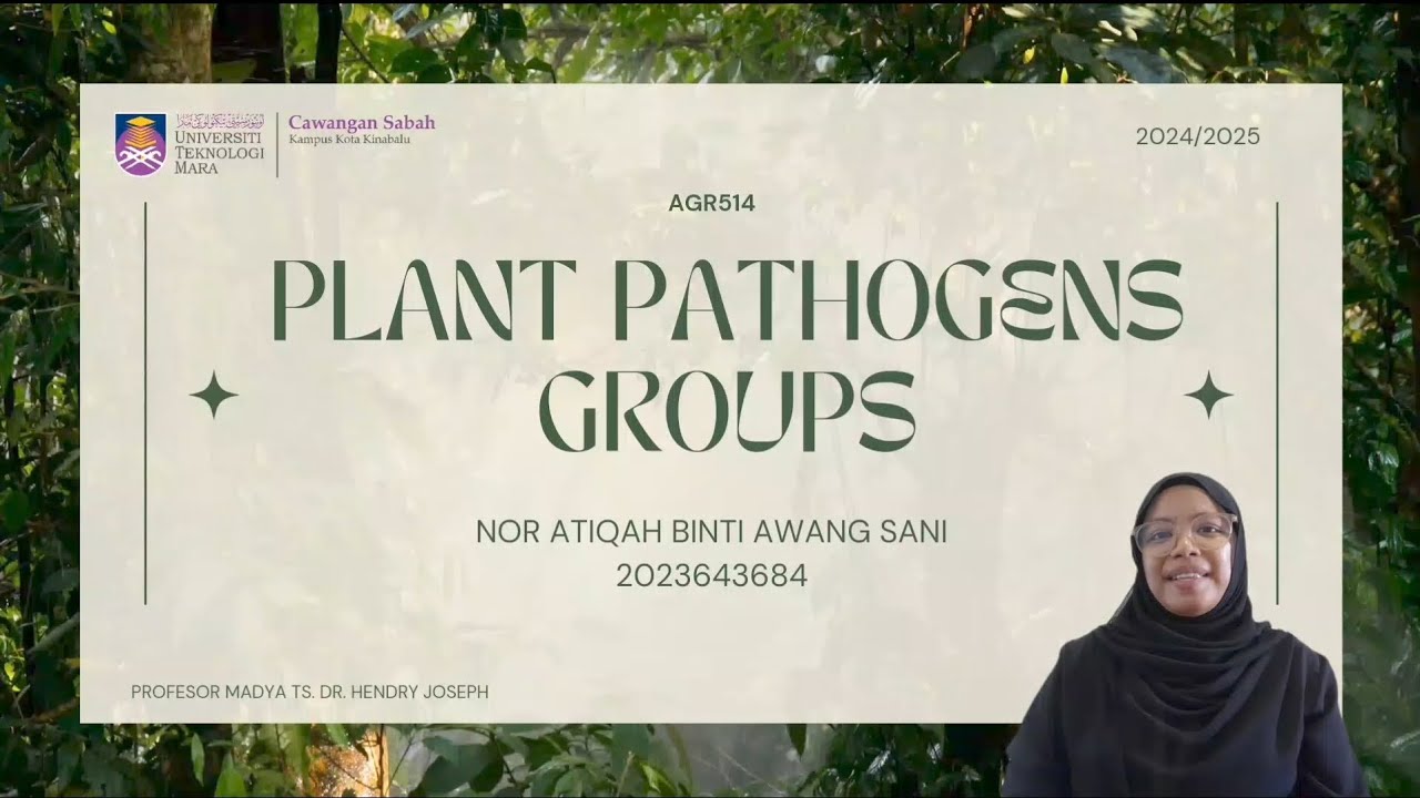 AGR514 PLANT PATHOGEN GROUPS (NOR ATIQAH BINTI AWANG SANI) - YouTube