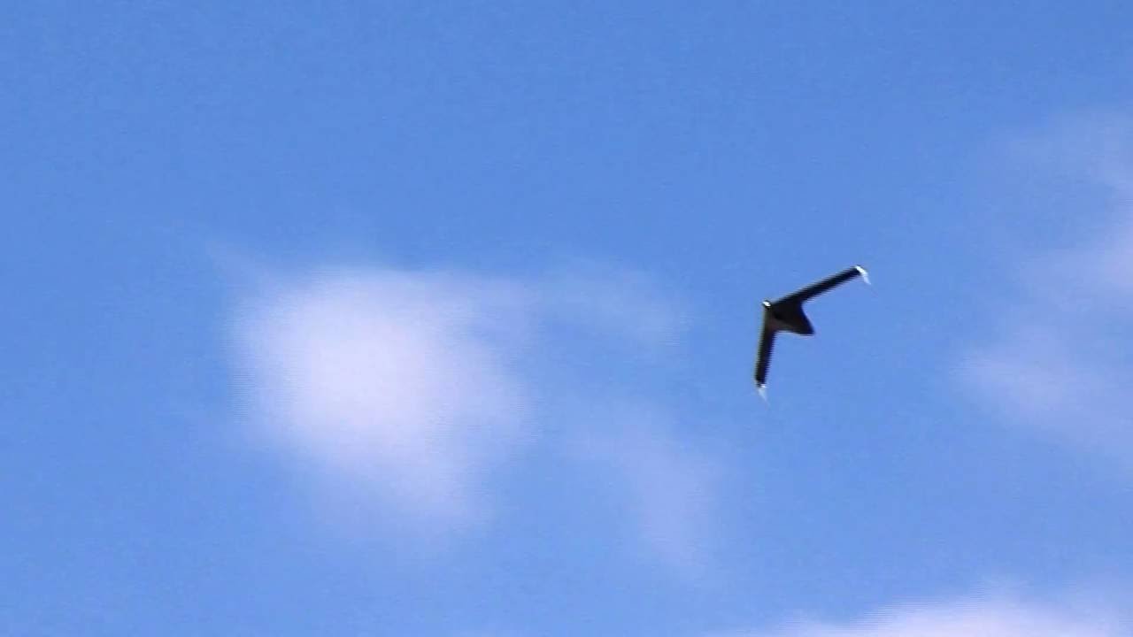 Birdeye 650D - YouTube