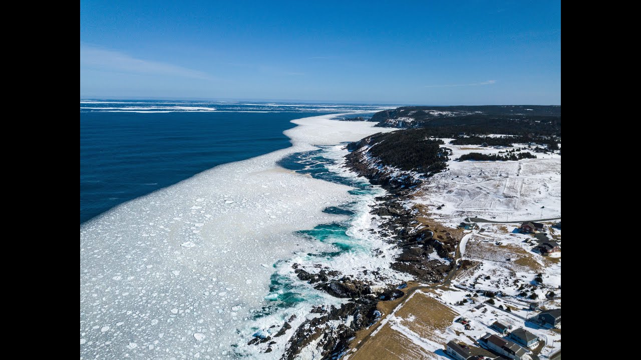 NEWFOUNDLAND SEA ICE IN MARCH - YouTube