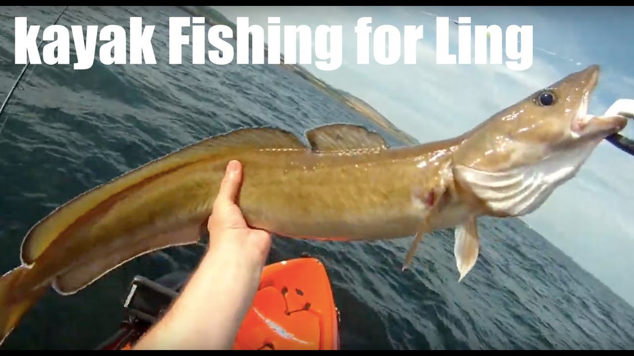 Sea Fishing Scotland - Fishing for Ling and Cod - Torness - YouTube