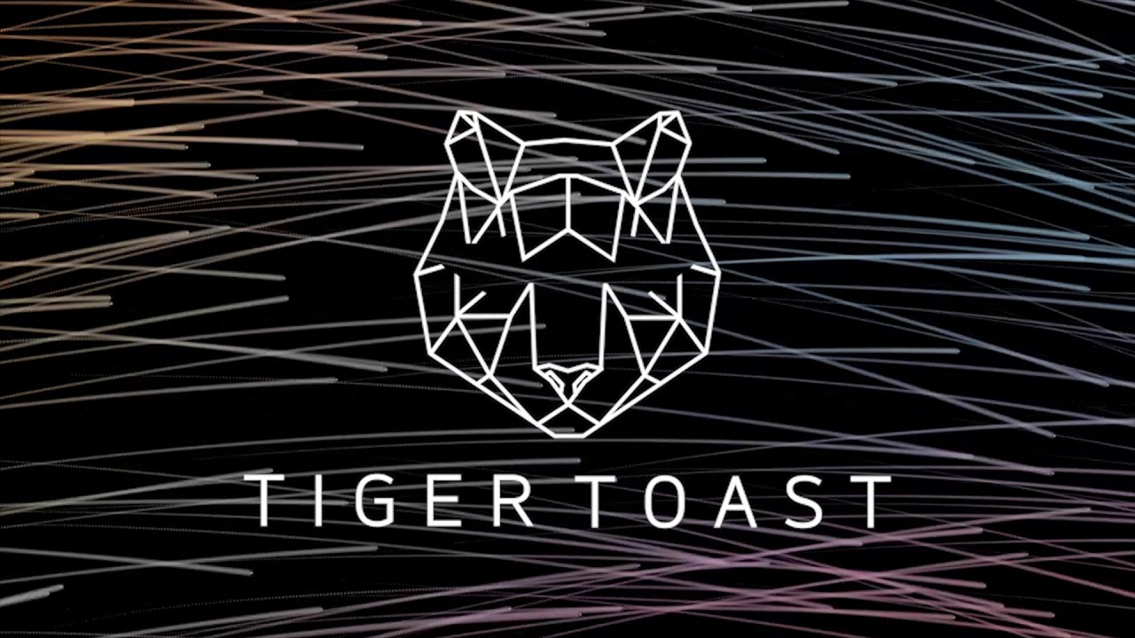 Signs (Tiger Toast Remix) - Snoop Dogg - YouTube