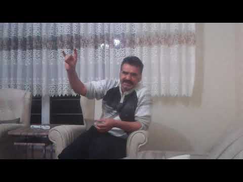 Mehdi