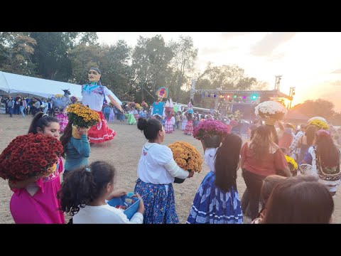 Fiesta Patronal de Teococuilco de marcos perez en Nj: Calenda Floral ...