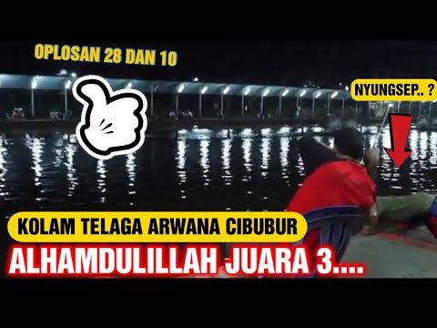 WOOOWW...BABON 12 KG MERAH CUMA JADI JUARA 3 DI KOLAM INI || KOLAM ...