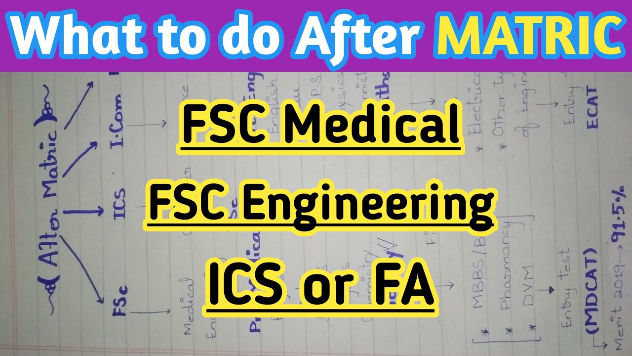 What to do after Matric? After Matric Guidelines | Pre Medical or ...