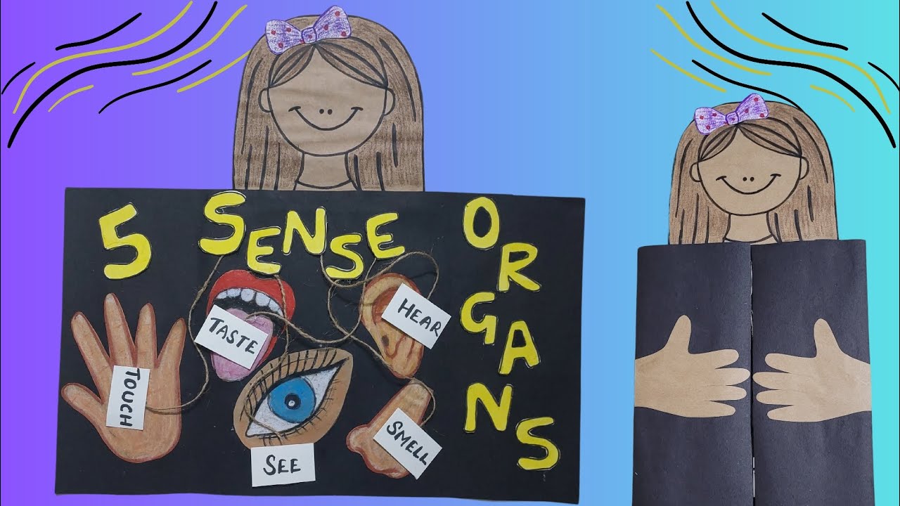 5 Sense Organs model for School Assignment| DIY Craft| Easy Craft ...