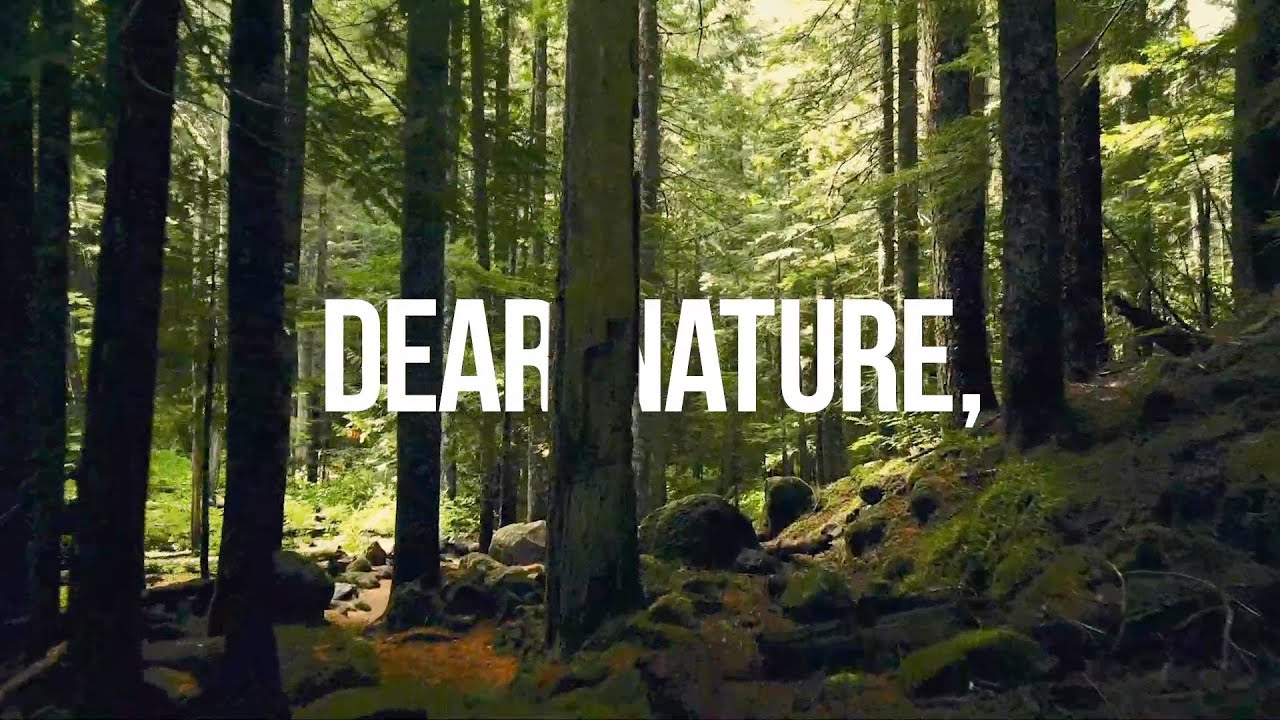 TIMBERLAND | Nature Needs Heroes - Earth Day 2020 - YouTube