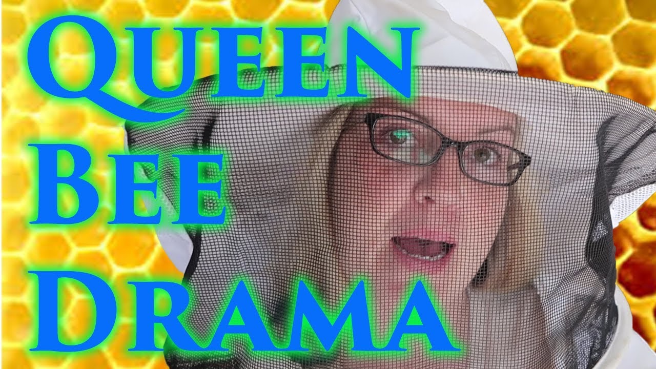 QUEEN BEE DRAMA! - YouTube