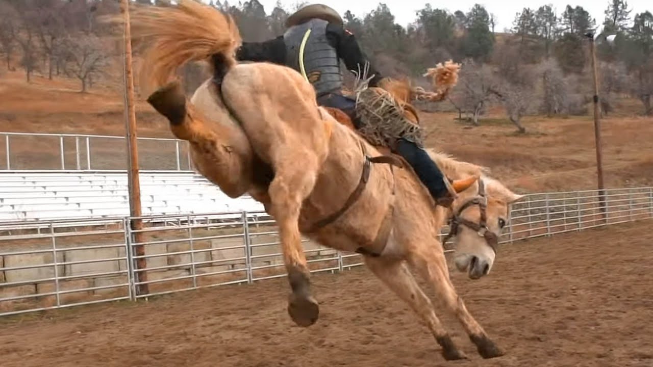 2020 Bronc Riding | Veater Ranch Ep 1 - YouTube
