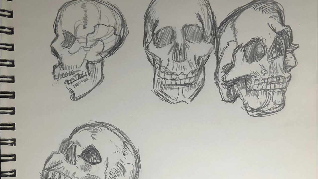 Drawing Skulls (Drawing Practice Day 1) - YouTube