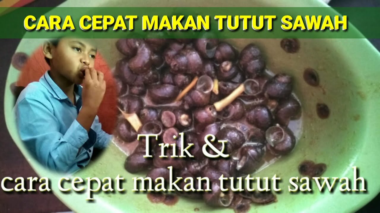 Cara makan Tutut Sawah|Super Enak- Ala Marwil Family|Dunia Anak - YouTube