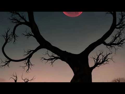 أغنية تركية رائعة لسنة 2020 “Nimet”