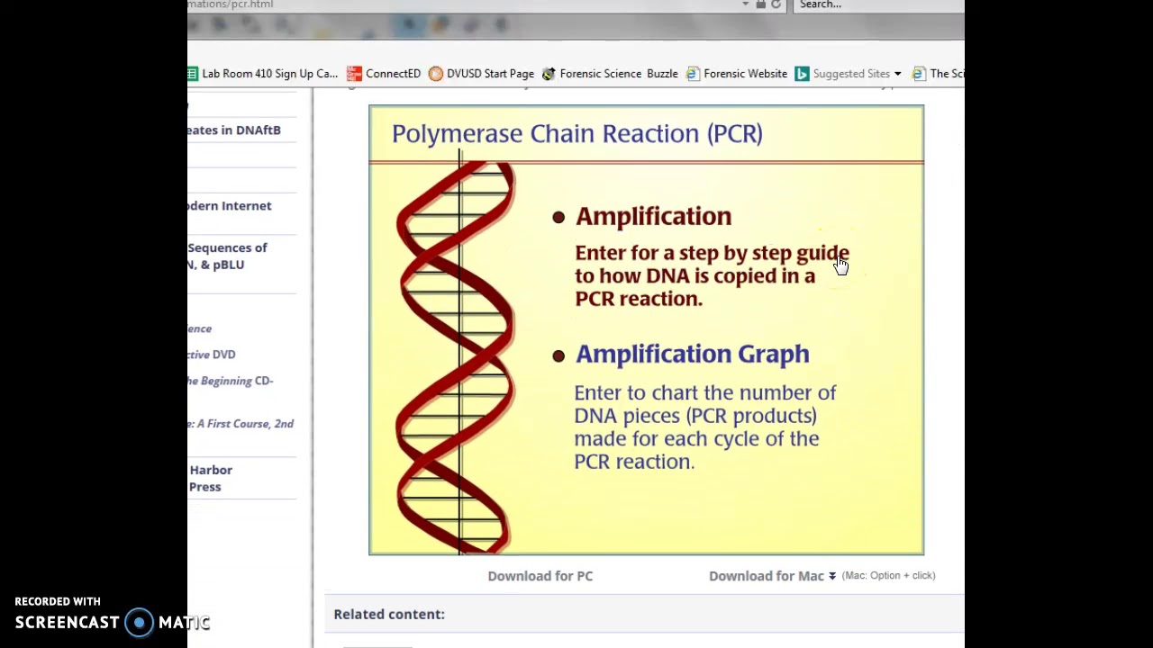 PCR Lesson - YouTube